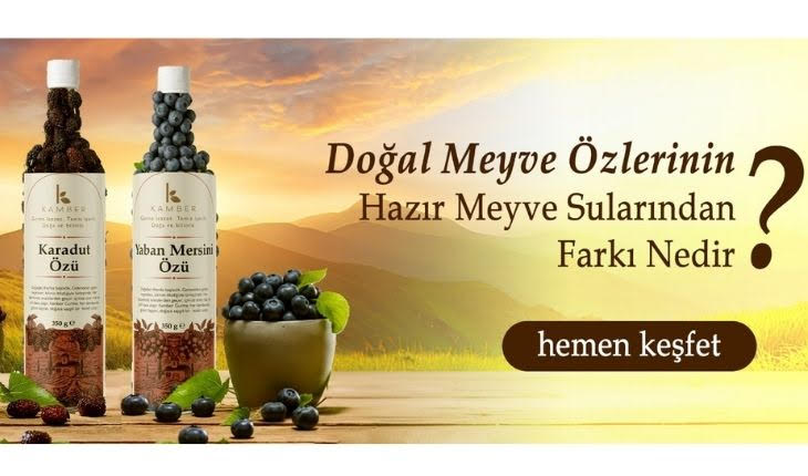 Doğal Meyve Özlerinin Hazır Meyve Sularından Farkı Nedir? | Torbalı Rehberi